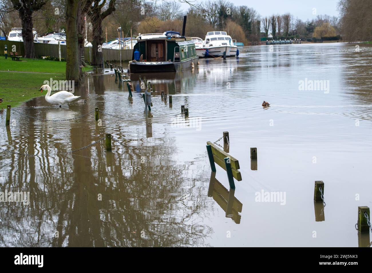 Datchet, Berkshire, UK. 13th February. 2024. Flooding from the River ...