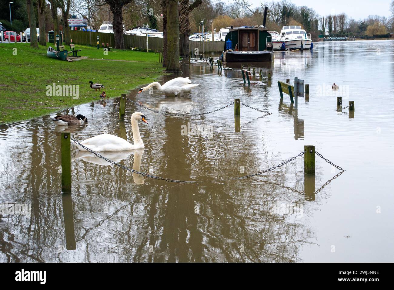 Datchet, Berkshire, UK. 13th February. 2024. Flooding from the River ...