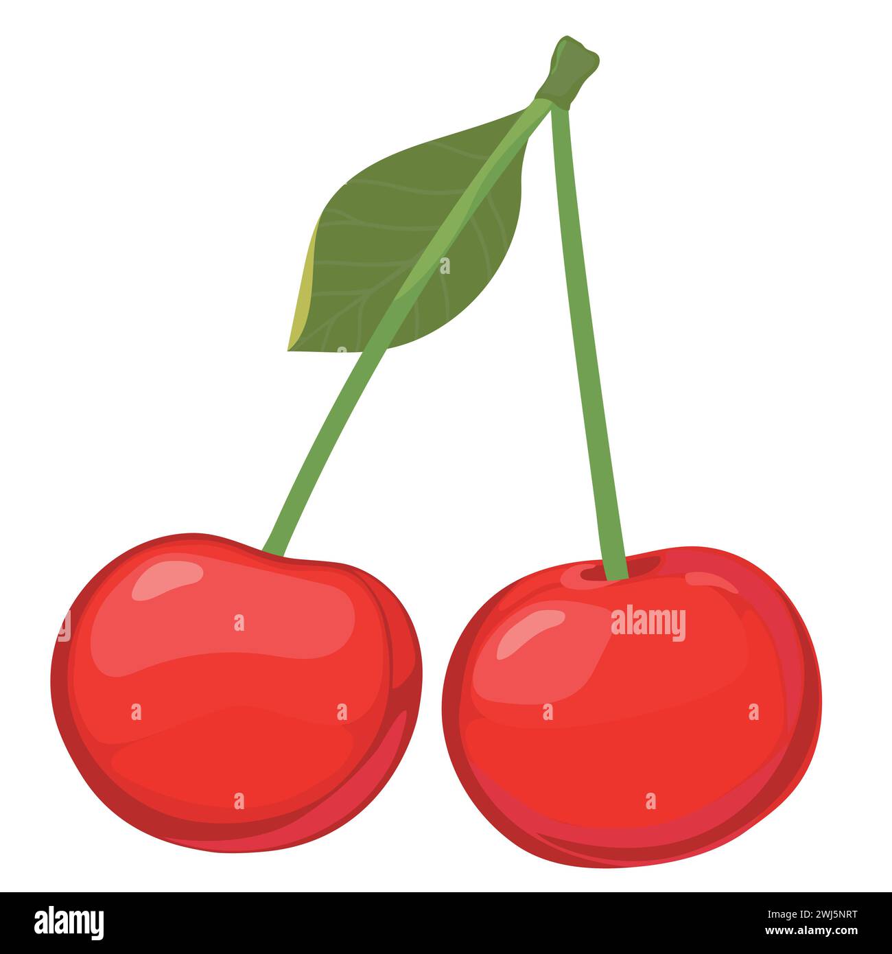 Red cherries on a white background. Vector ripe berries in flat style ...