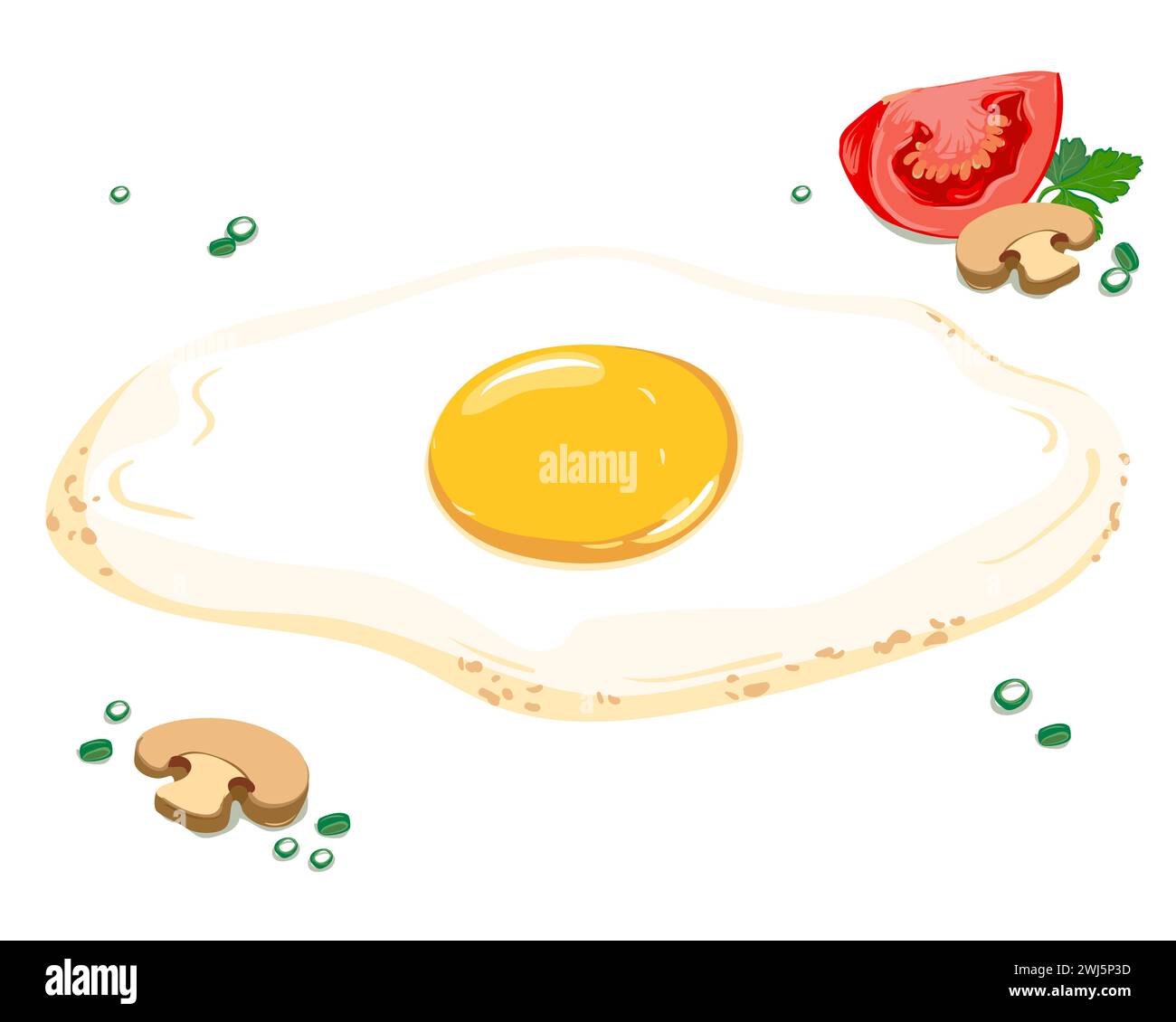 Vector illustration of a traditional breakfast. Fried egg on a white ...