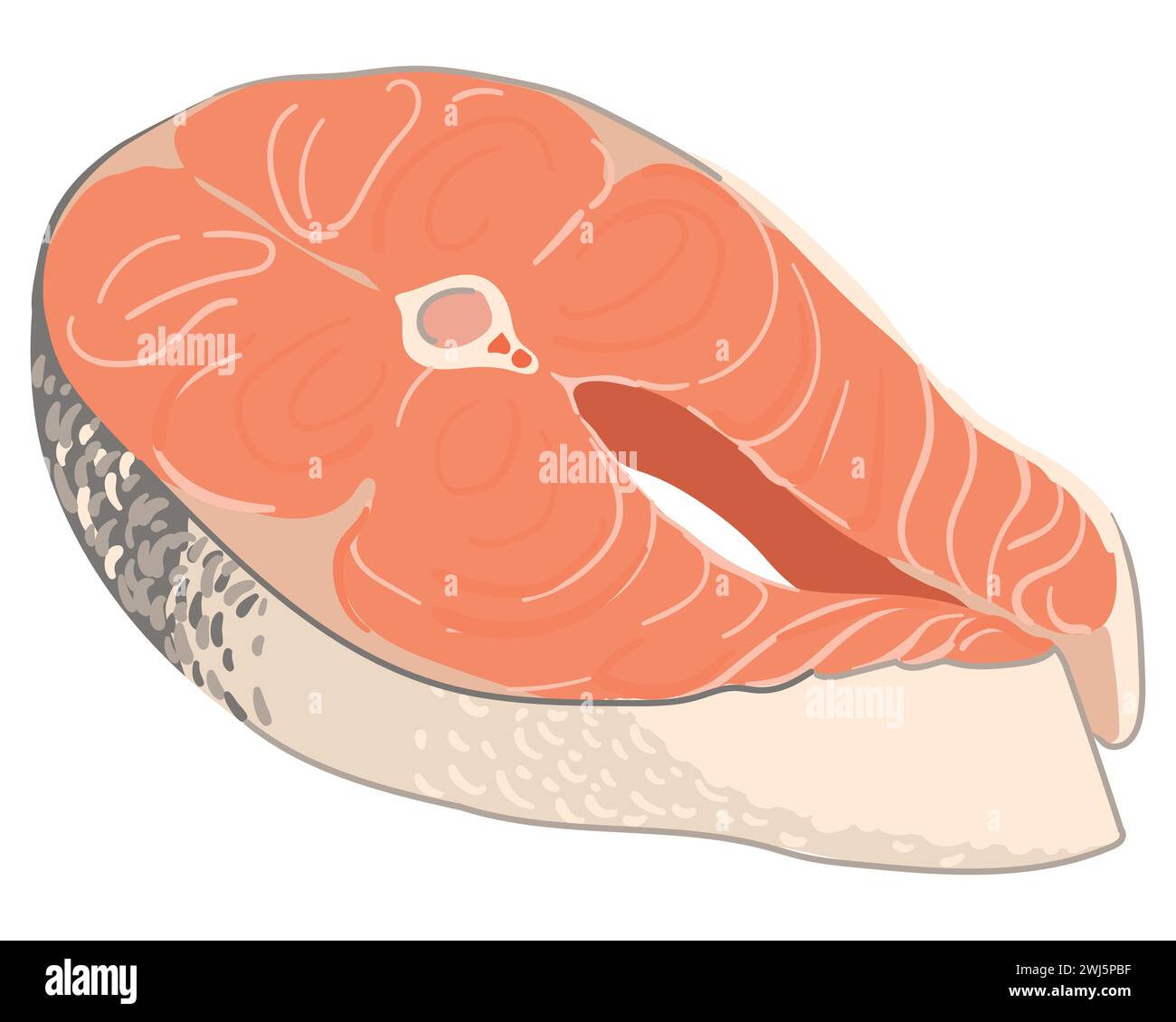 Salmon steak. Vector. Illustration in cartoon style isolated on white ...
