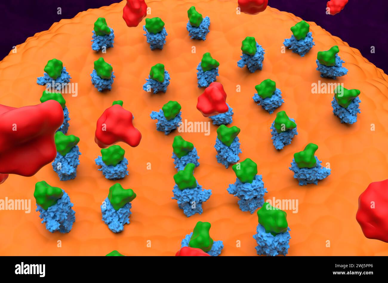 Synthetic morphinane alkaloid hi-res stock photography and images - Alamy