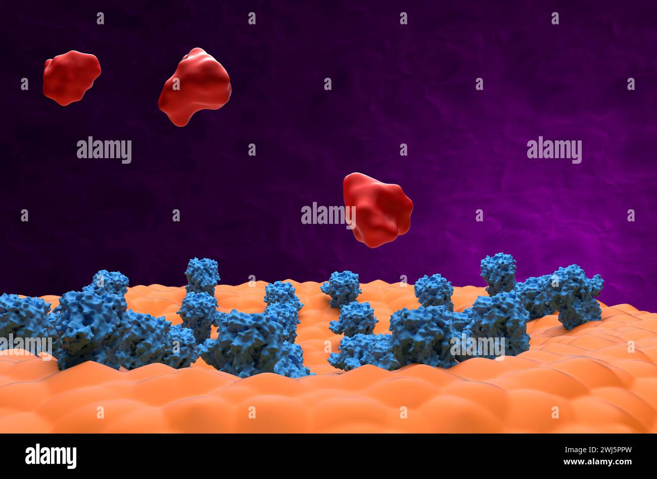 Opioid molecules looking for the GABA receptors - closeup view 3d ...