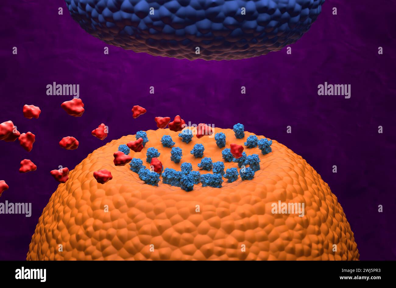 Opioid molecules looking for the GABA receptors - isometric view 3d ...