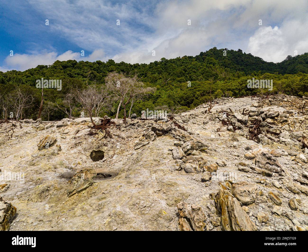 Consequences of a volcanic eruption with scorched earth and dead trees ...