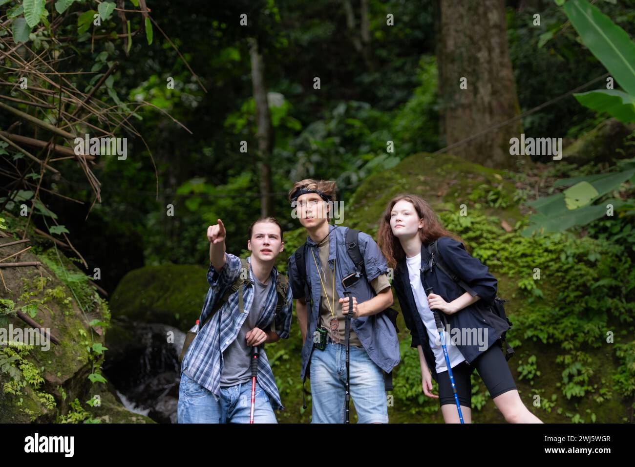 Group of young people hiking in the forest. Travel and adventure ...