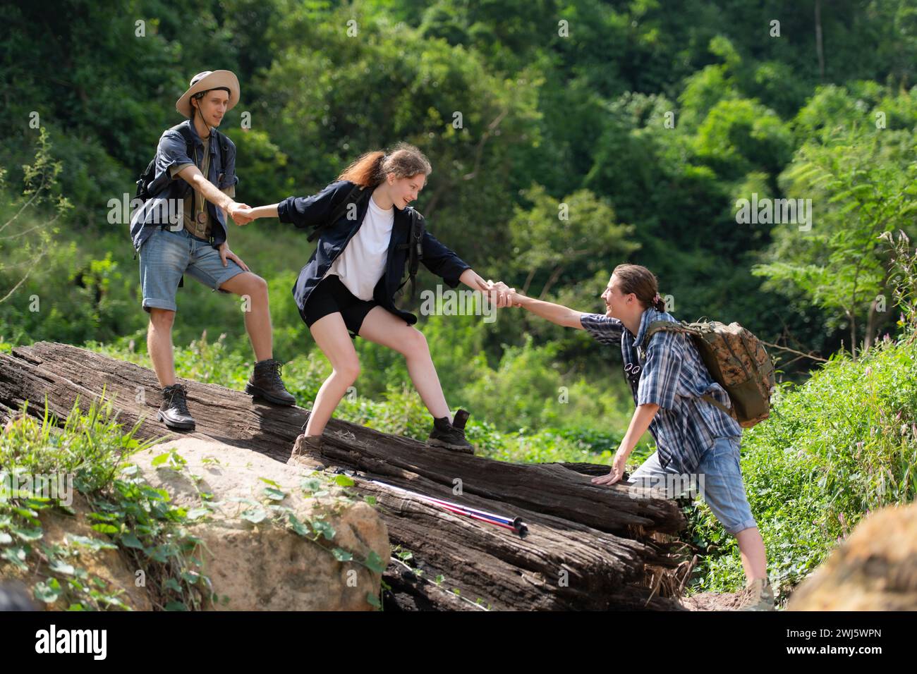 Group of friend on a sunny day in the forest Young group hiker with ...
