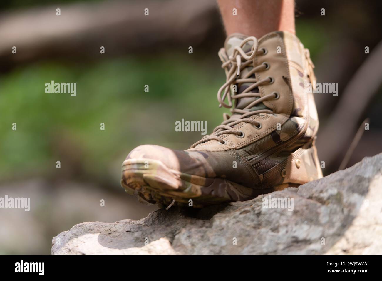 Rocks and log hi-res stock photography and images - Alamy