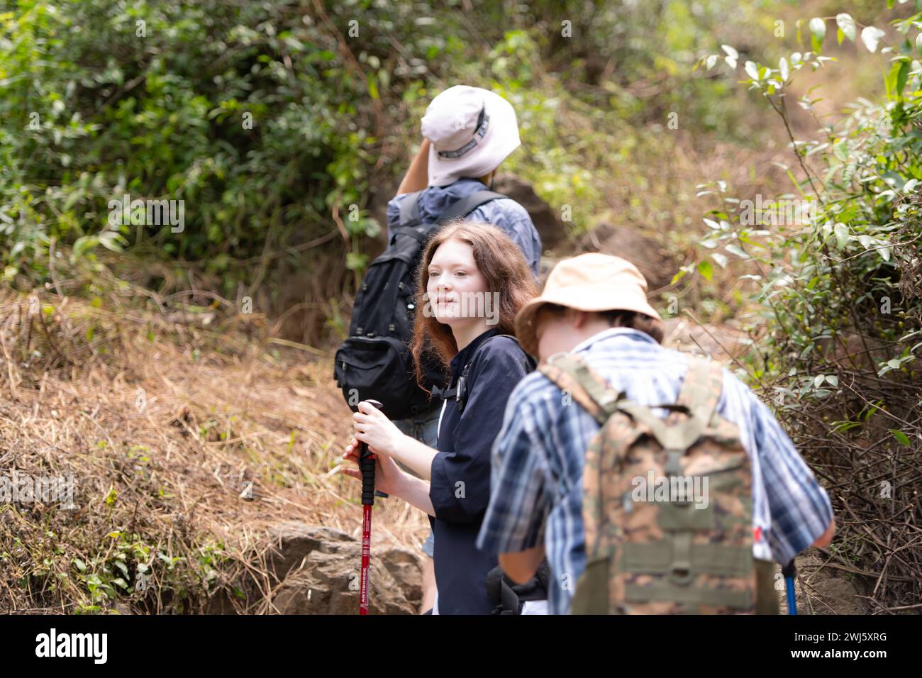 Group of friend on a sunny day in the forest Young group hiker with ...