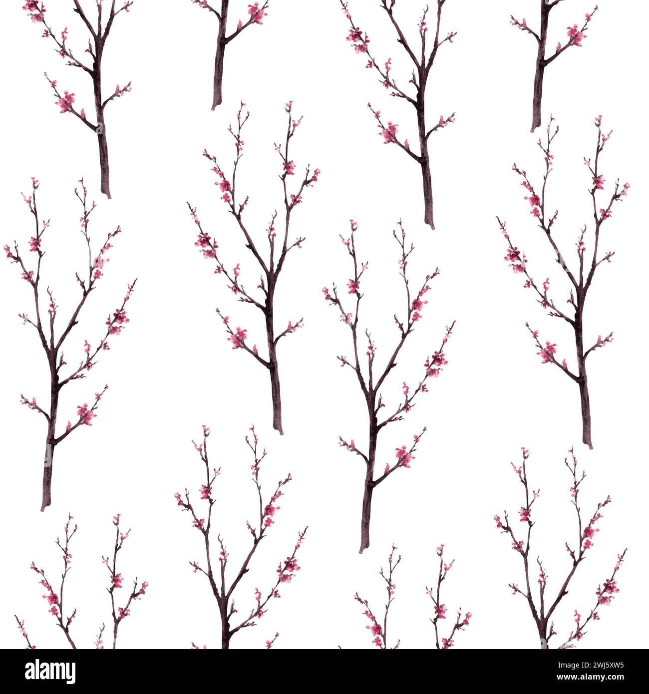 Plum first plants Cut Out Stock Images & Pictures - Alamy