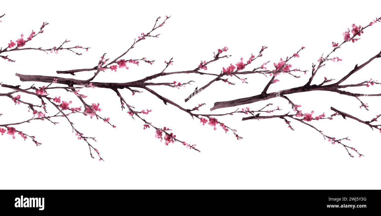 Watercolor hand drawn early spring blossoms of trees, sakura, cherry ...