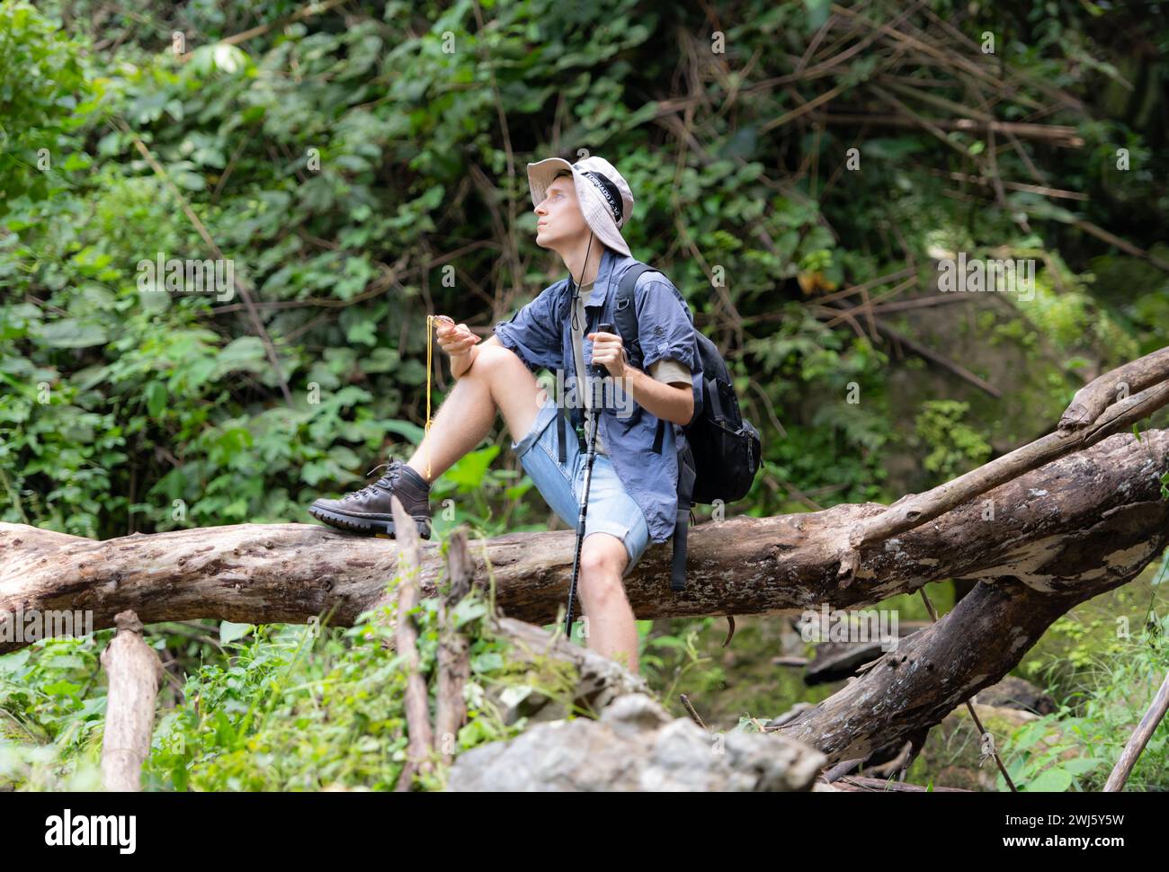 Person looking at a tree on a hike hi-res stock photography and images ...