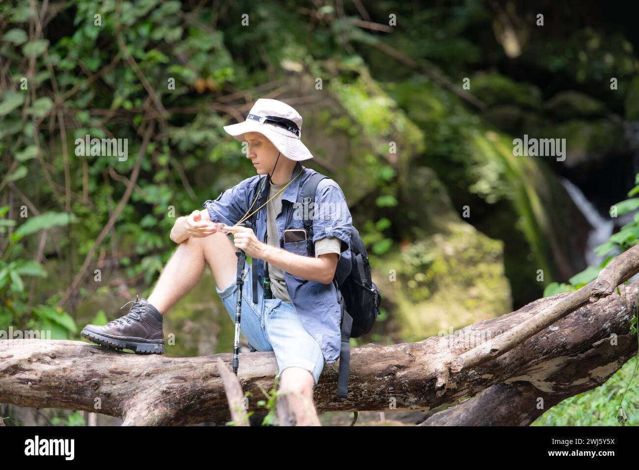 Person looking at a tree on a hike hi-res stock photography and images ...