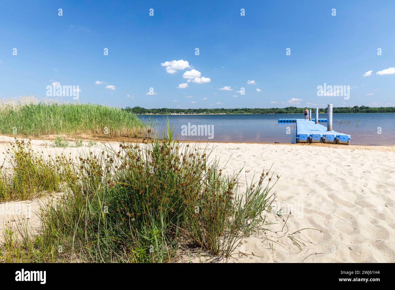 Pontonsteg am Badestrand vom Dreiweiberner See, Lausitzer Seeland ...