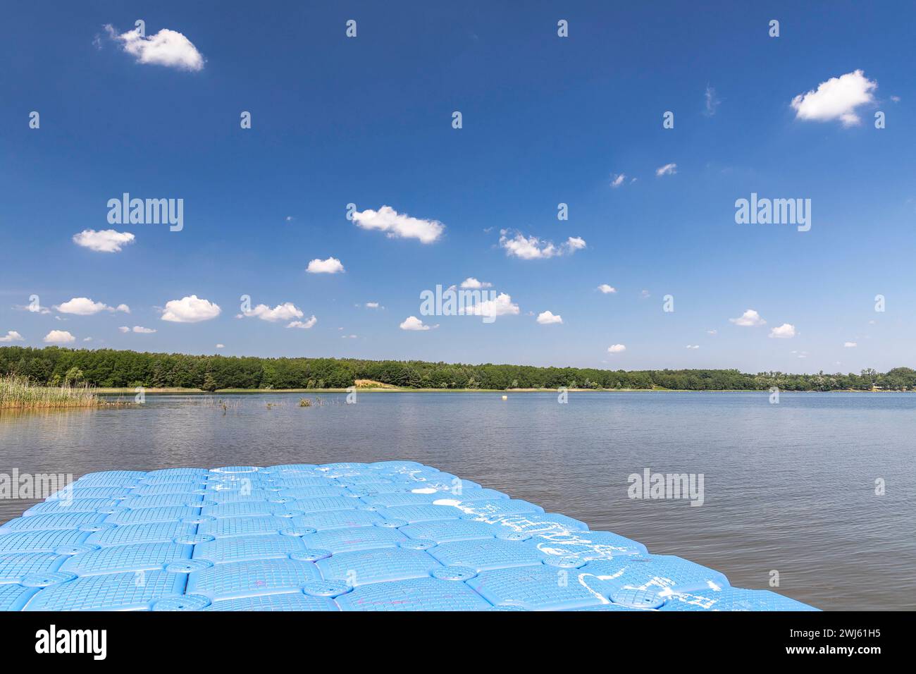 Pontonsteg am Badestrand vom Dreiweiberner See, Lausitzer Seeland ...