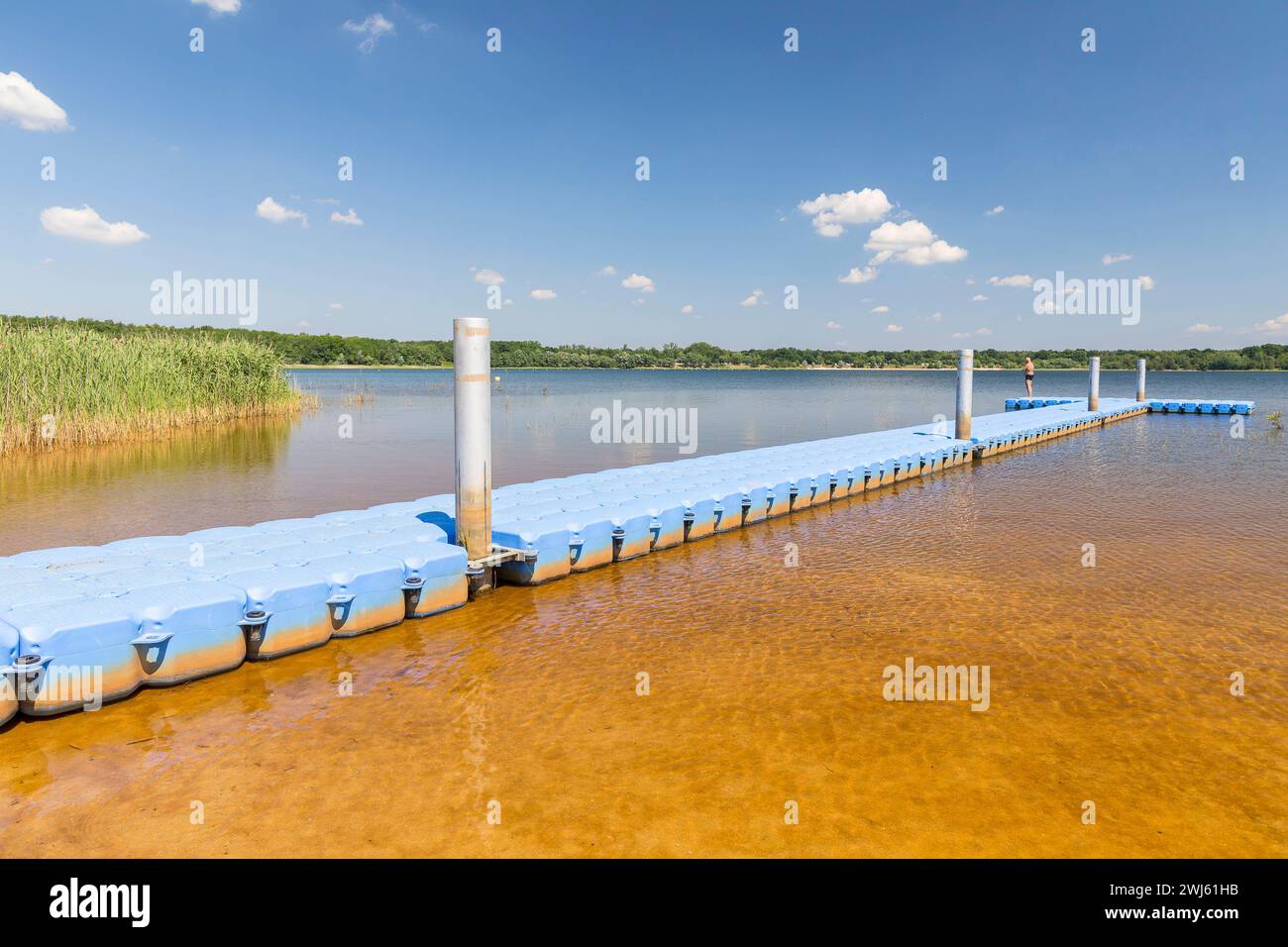 Pontonsteg am Badestrand vom Dreiweiberner See, Lausitzer Seeland ...