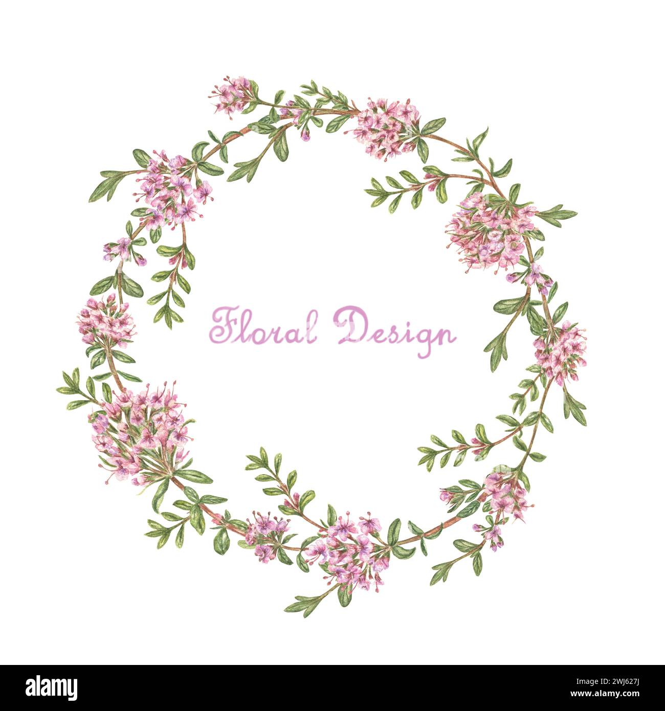 Thyme flowers. The frame is hand-painted in watercolor on a white ...