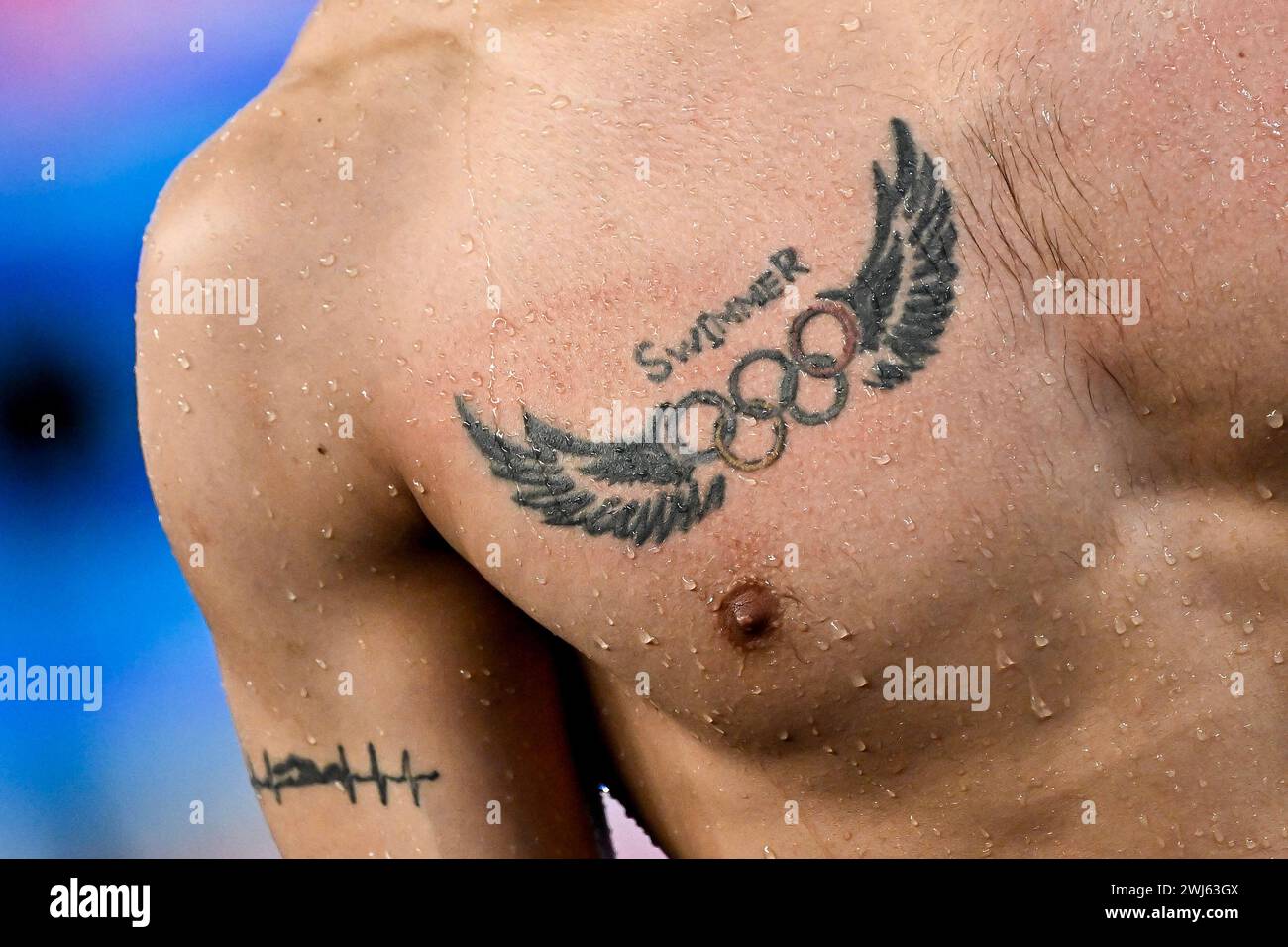 Doha, Qatar. 13th Feb, 2024. Athlete during the 21st World Aquatics ...