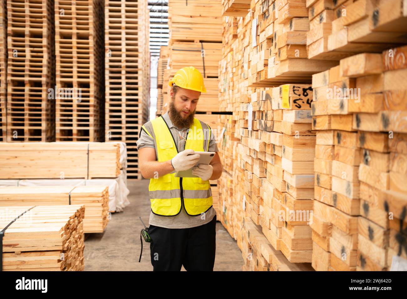 Portrait of warehouse worker checking stock of wooden pallets in ...