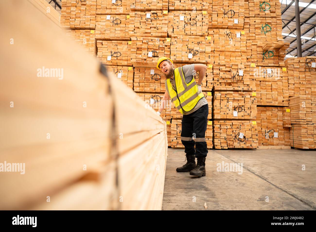 Back pain often occurs with employees who work in warehouses, Because ...