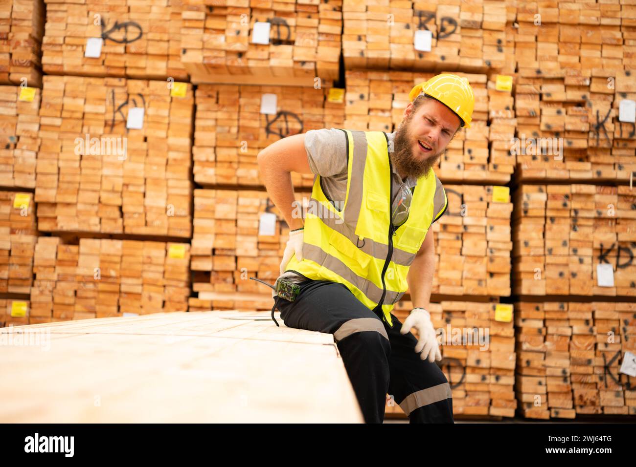 Back pain often occurs with employees who work in warehouses, Because ...