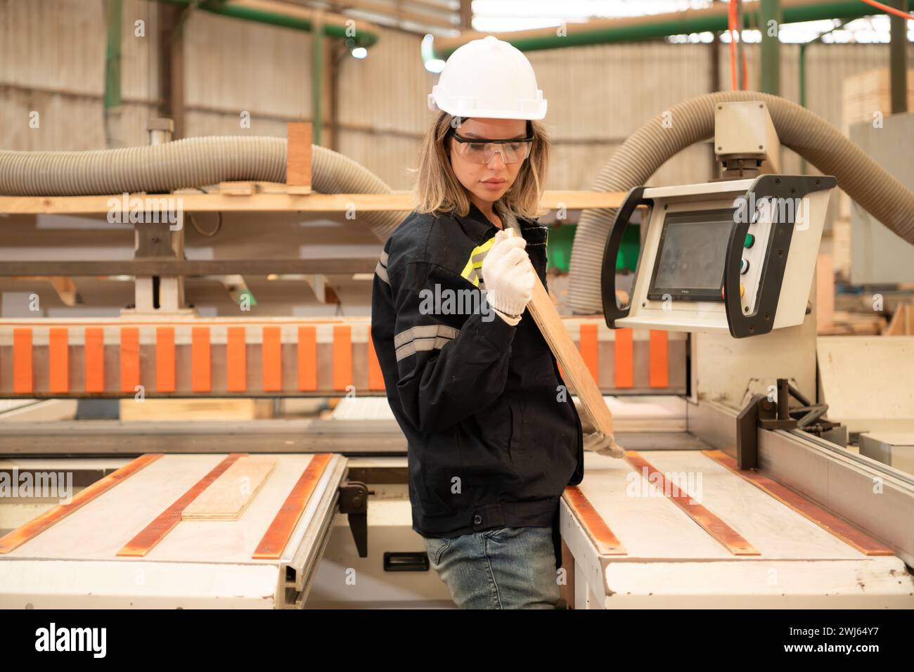 Young woman worker work in a woodworking factory, Working with wood ...