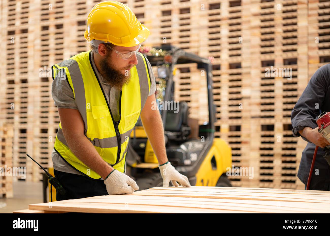 Young workers working in a woodworking factory, Looking at colleagues ...