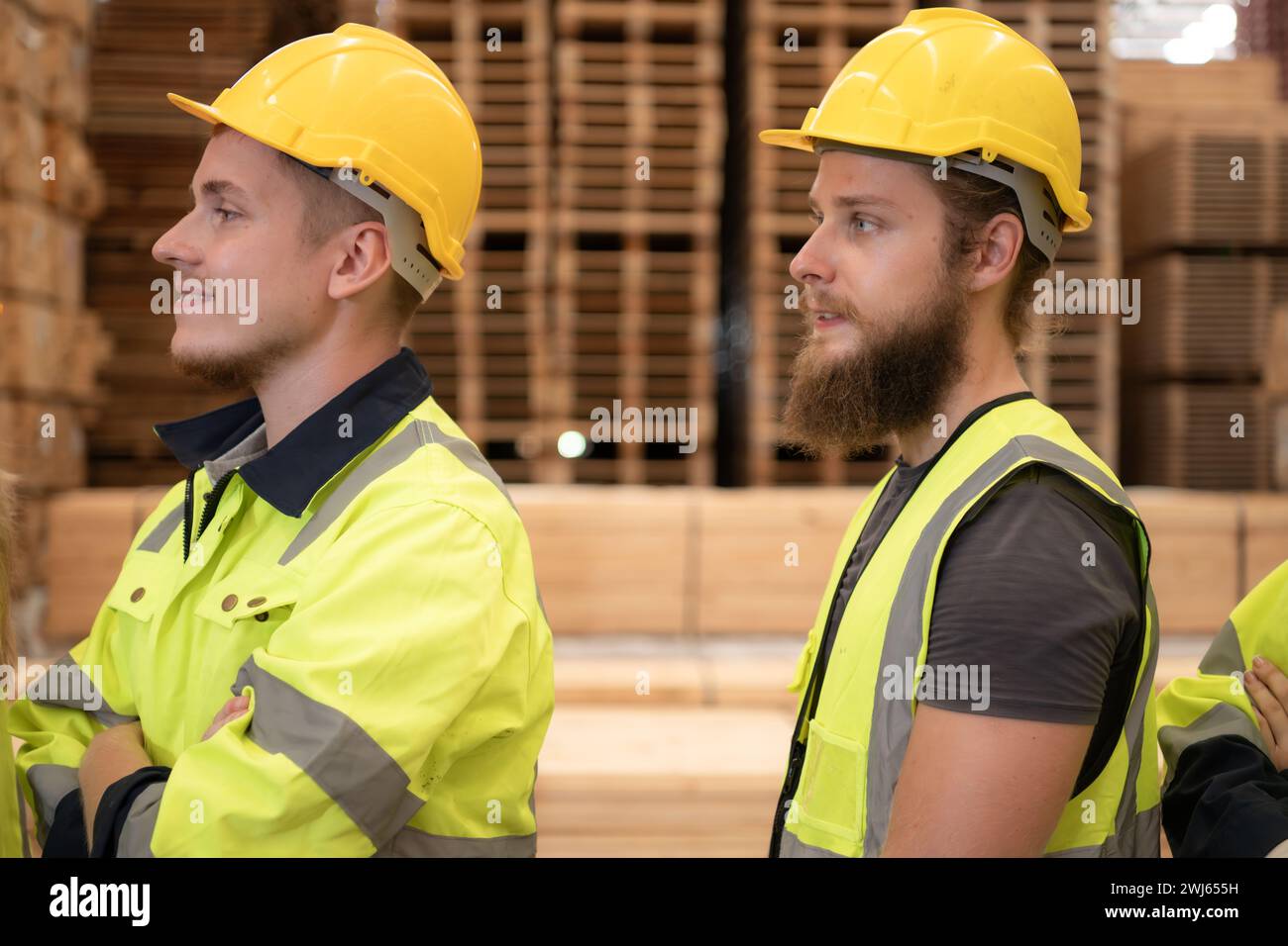 Group of workers in a large timber factory, Have fun by raising your ...