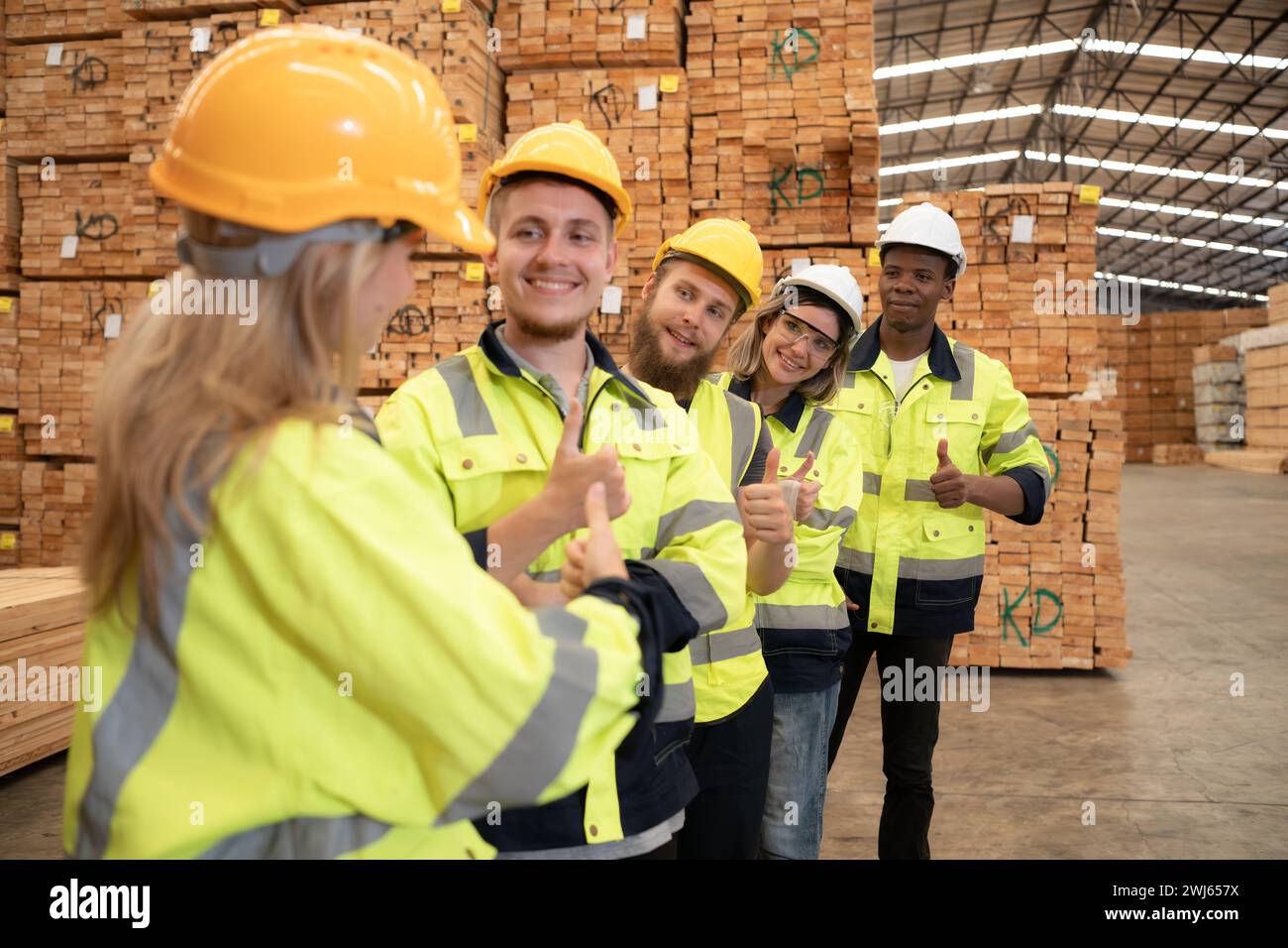 Portrait of a warehouse worker at a timber factory, Showing their ...