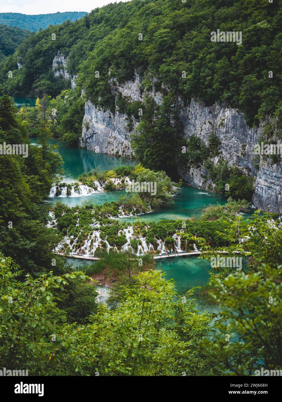 The beautiful view of the lush forest with majestic cliffs and ...