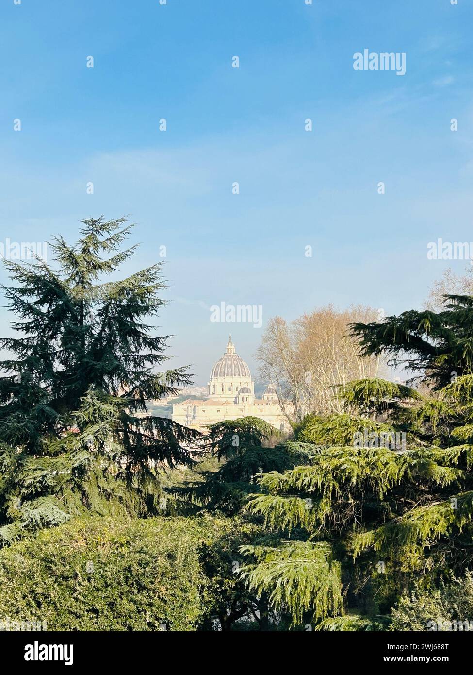 Rom, Germany. 30th Jan, 2024. View of St. Peter's Basilica from the ...