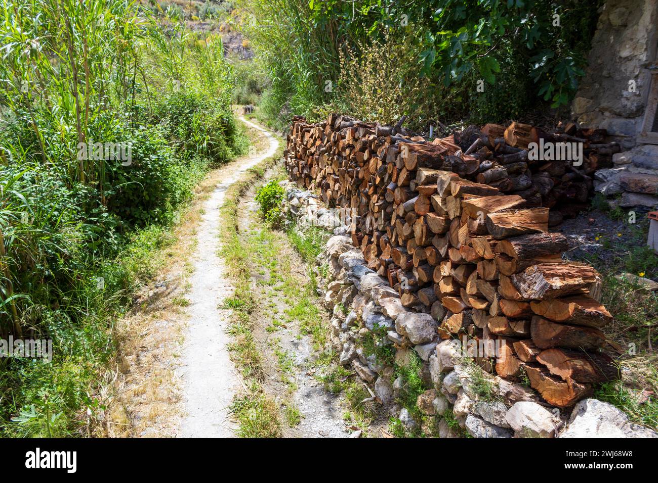 Almond tree irrigation hi-res stock photography and images - Alamy