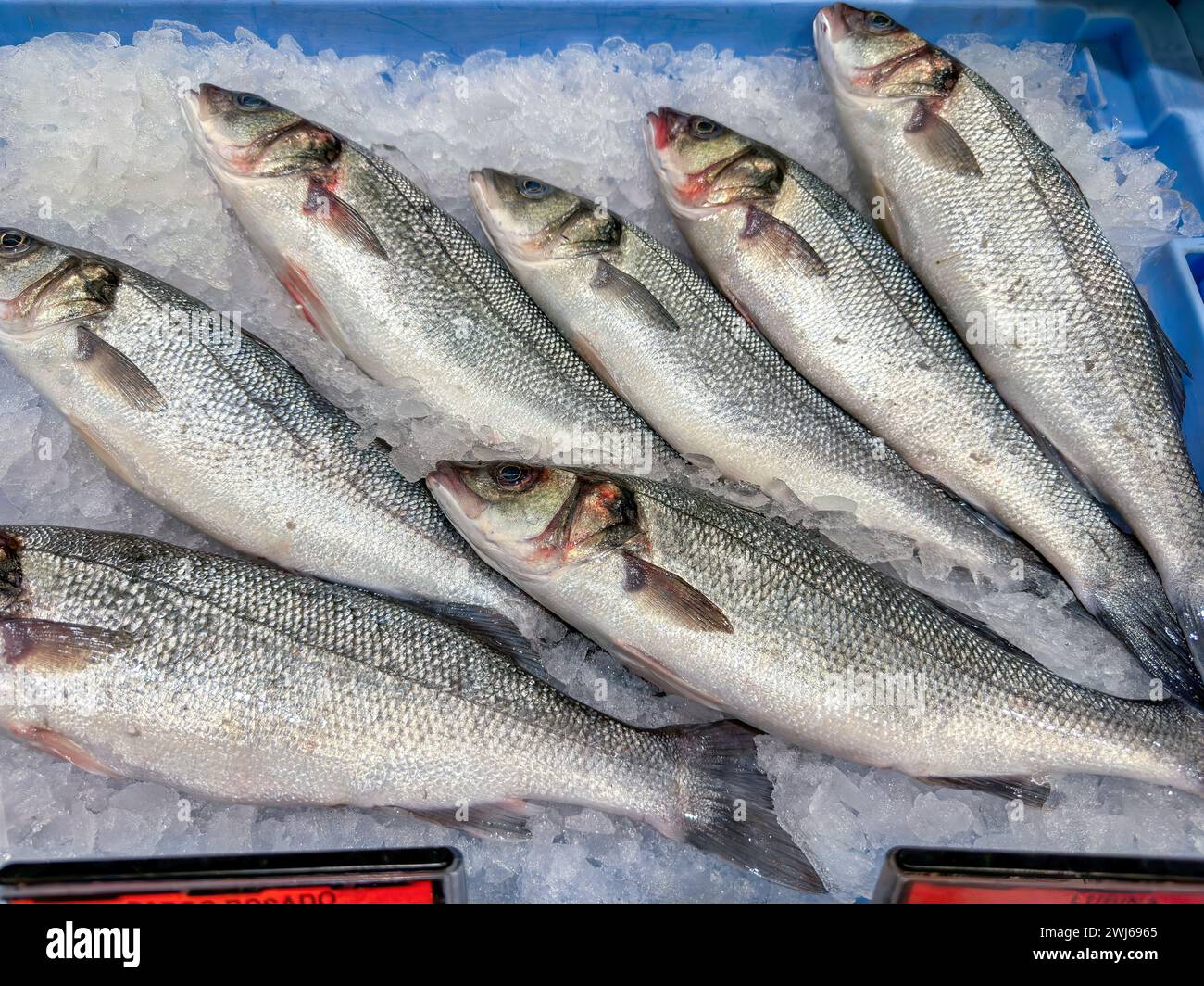 Fresh fish in supermarket, Alicante, Spain Stock Photo - Alamy