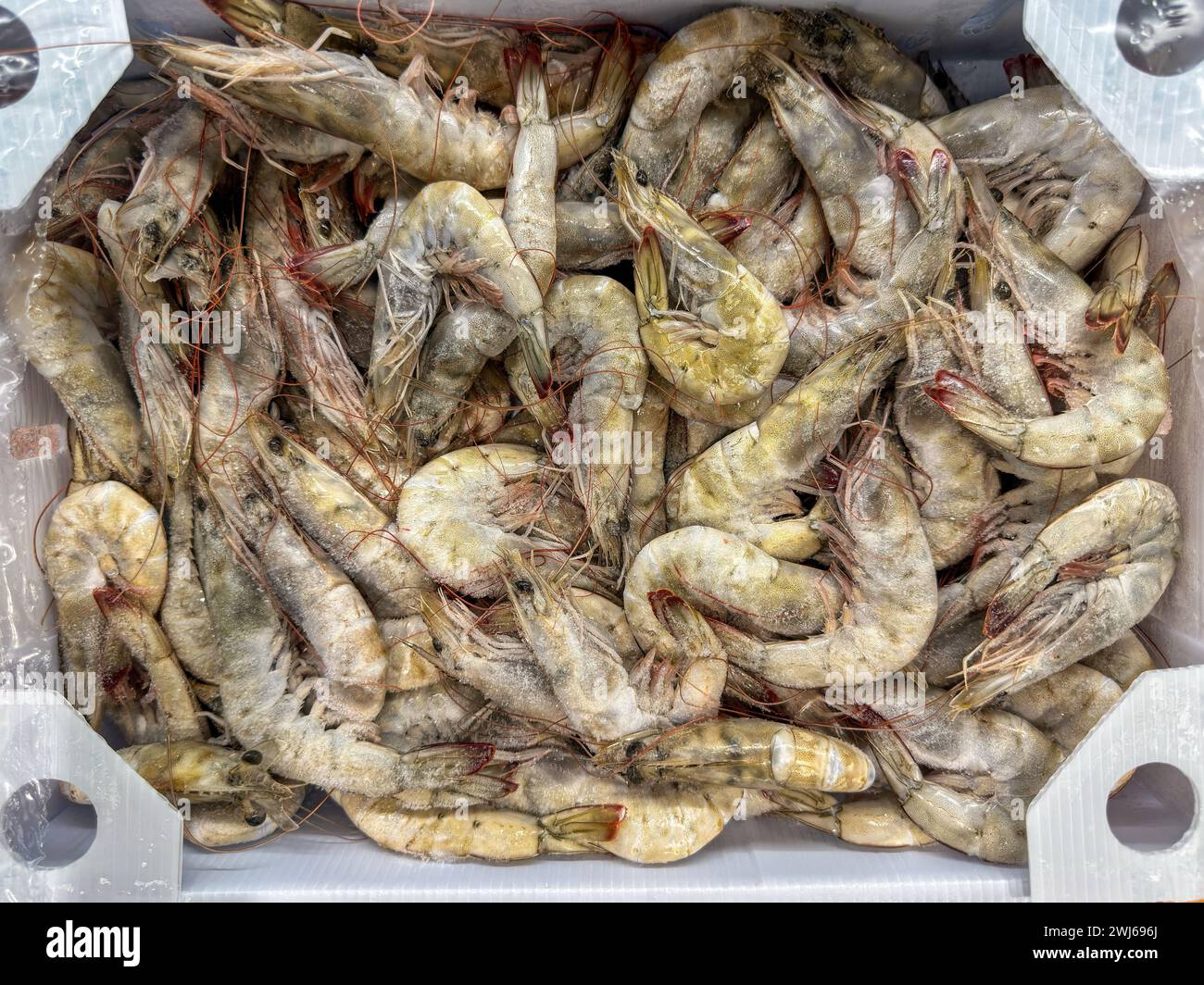 Fresh shrimps on retail display in supermarket, Alicante, Spain Stock ...