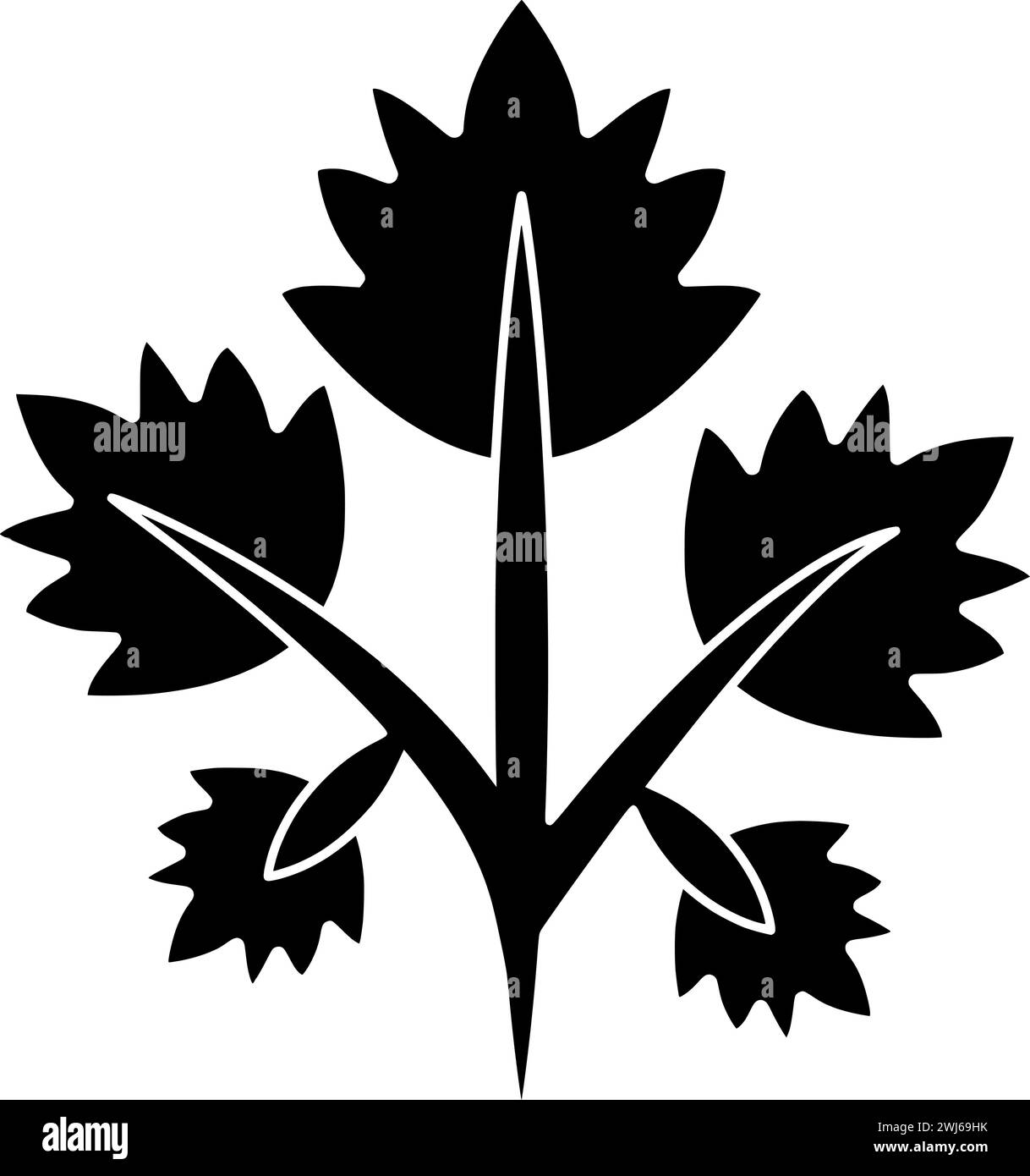 black coriander silhouette or flat leaf illustration of coriandrum logo ...