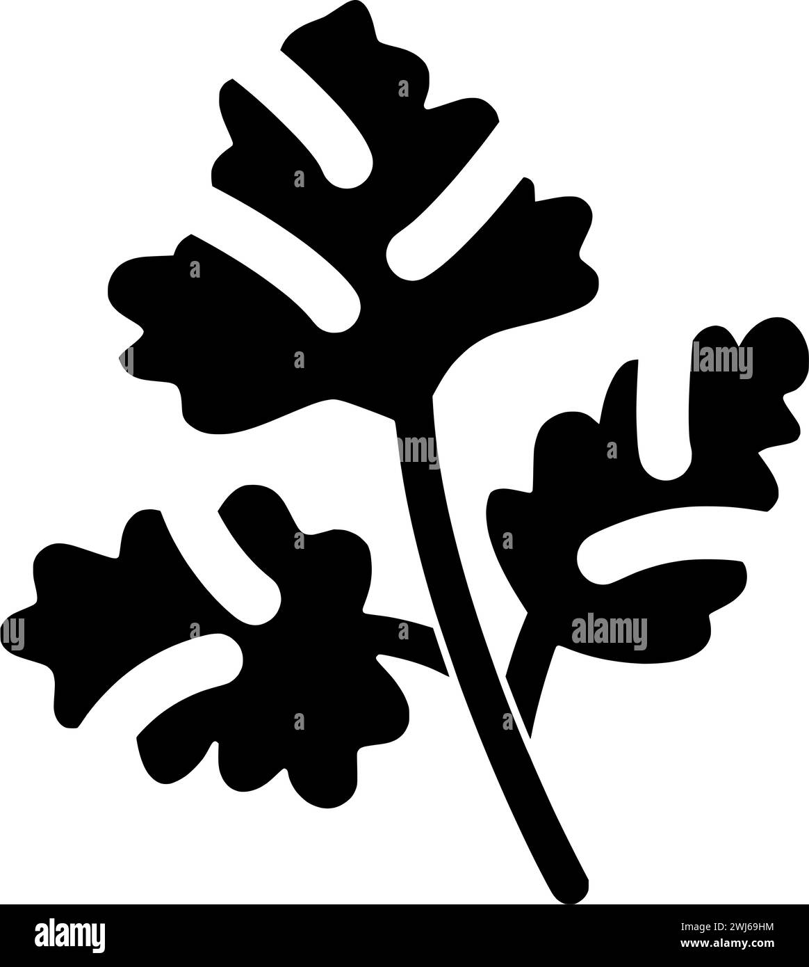 black coriander silhouette or flat leaf illustration of coriandrum logo ...