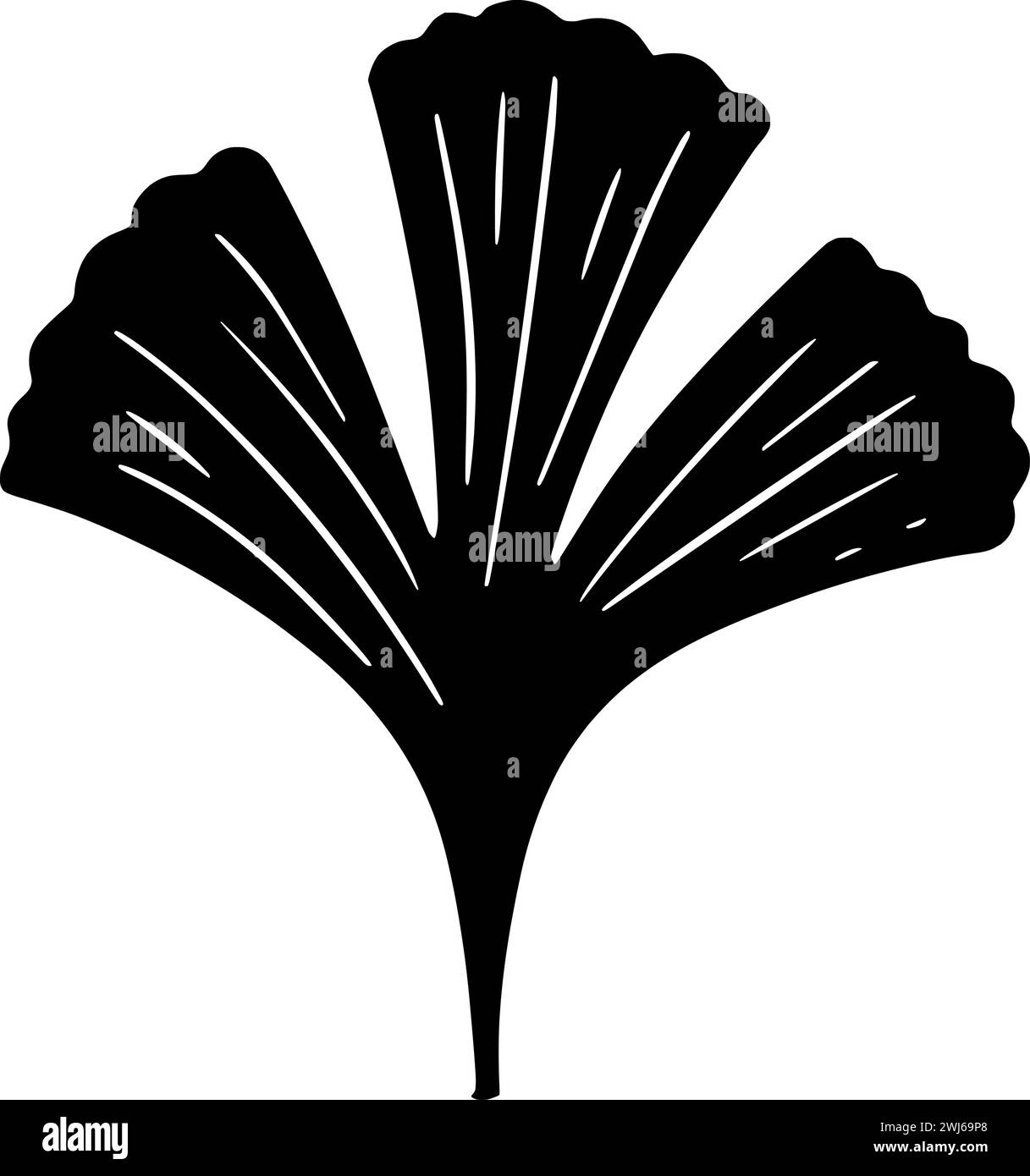 black coriander silhouette or flat leaf illustration of coriandrum logo ...