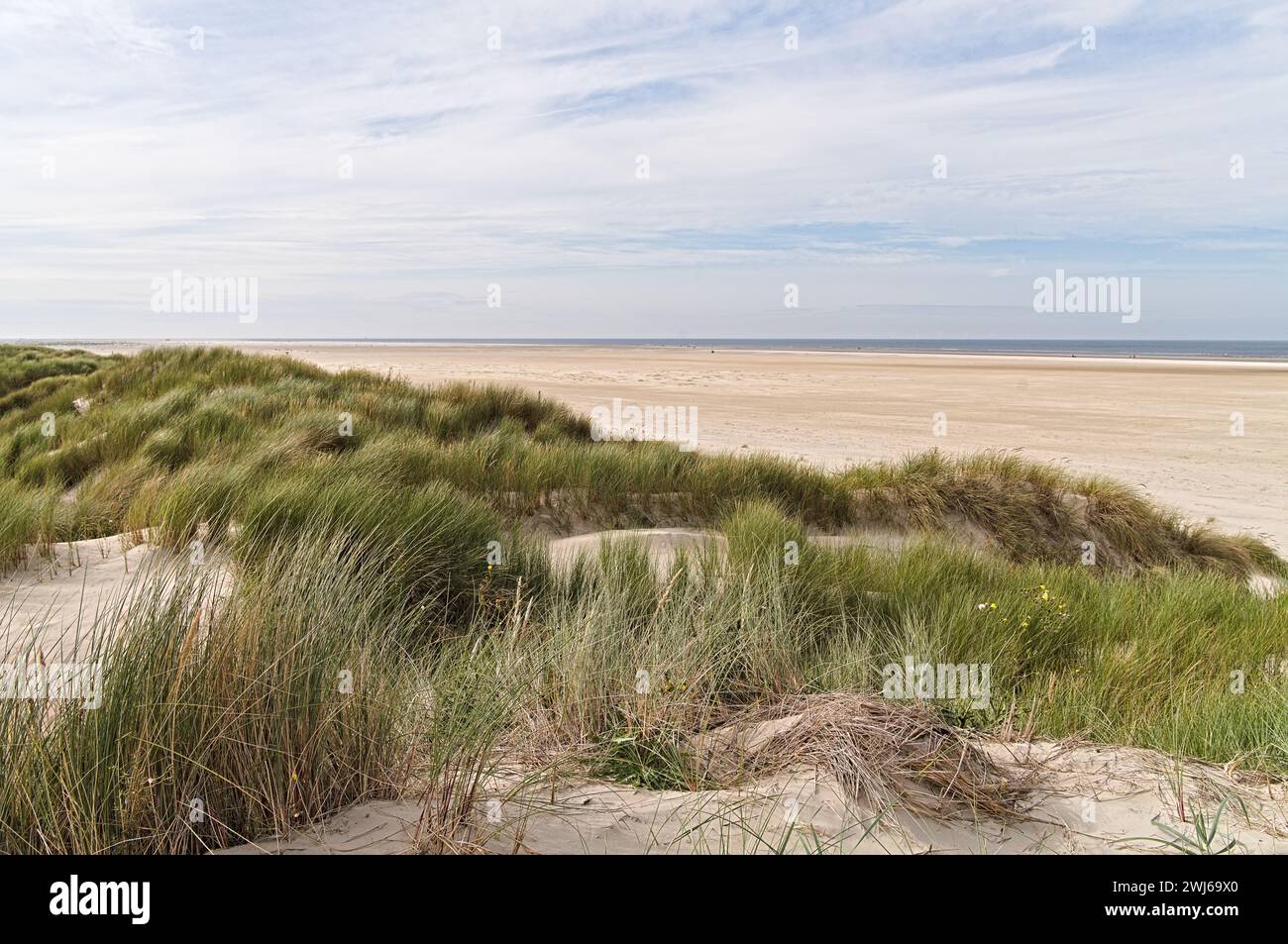 The beautiful dunescape of Borkum Stock Photo - Alamy