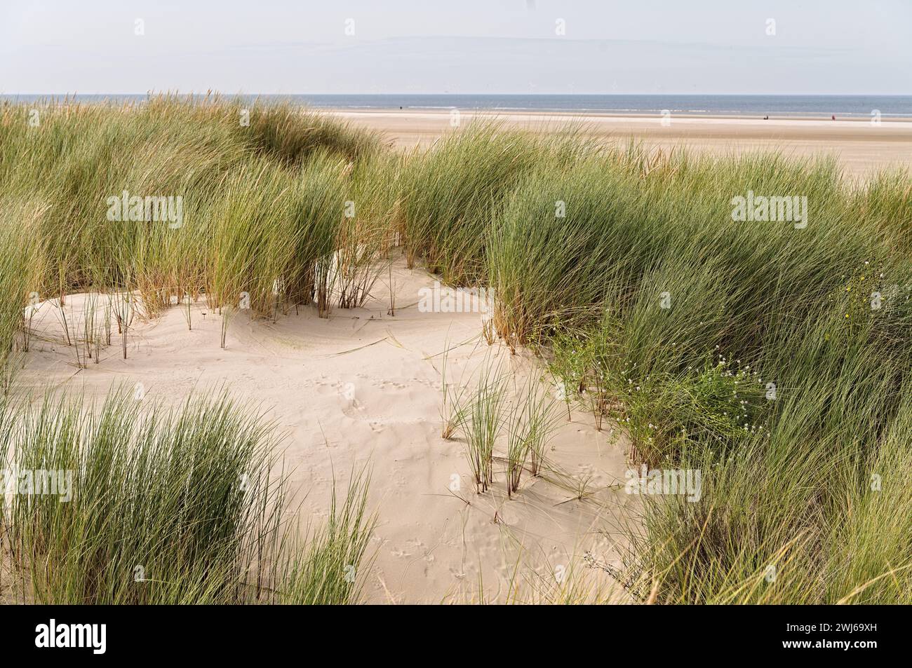 Dunescape hi-res stock photography and images - Alamy