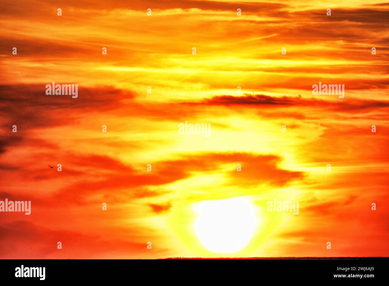 Tragic sunset.Red sunset. Oppressive atmosphere Stock Photo - Alamy