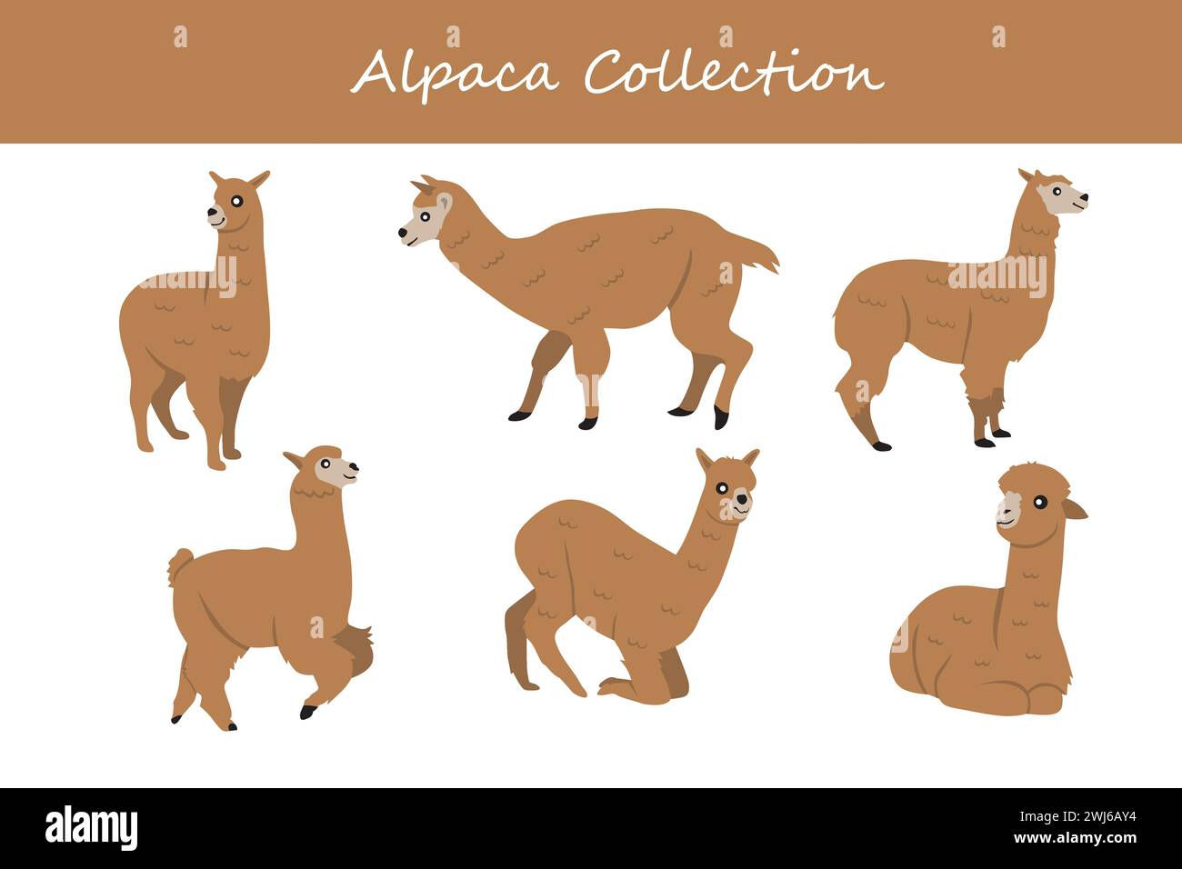 Alpaca. Collection of cute alpacas. Vector illustration Stock Vector Image & Art - Alamy