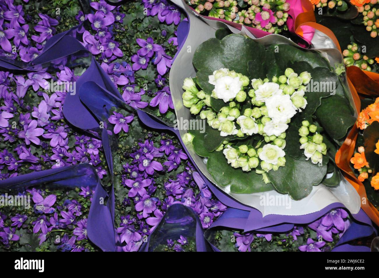 Copenhagen, Denmark /13 February 2024/Flower bouquesrs for sale in ...