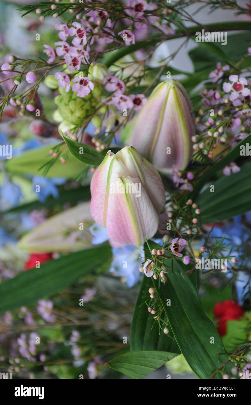 Copenhagen, Denmark /13 February 2024/Flower bouquesrs for sale in ...