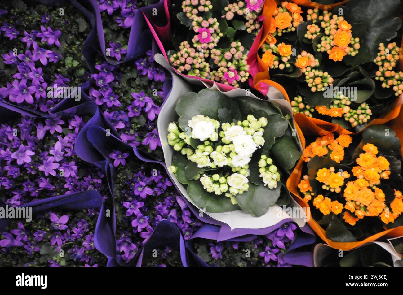 Copenhagen, Denmark /13 February 2024/Flower bouquesrs for sale in ...