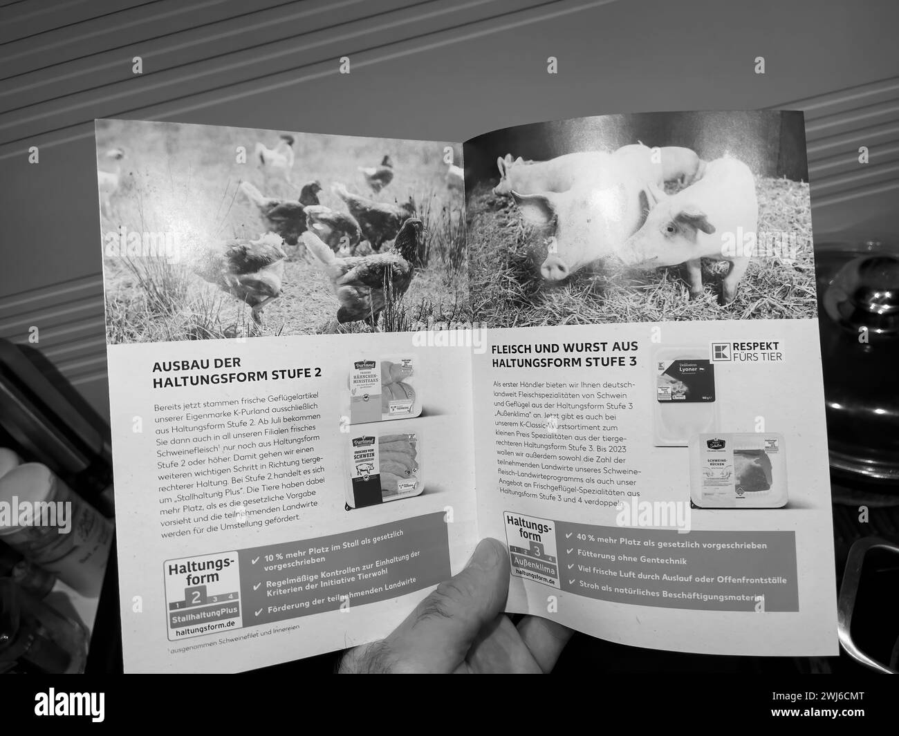 Paris, France - Mar 9, 2022: POV male hand holding brochure with ...