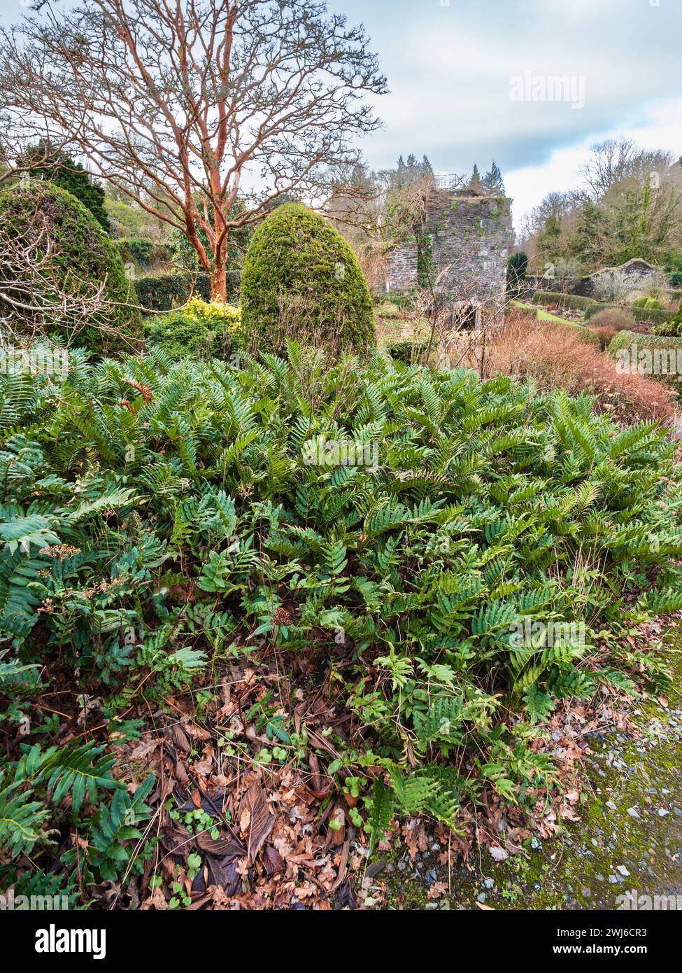 Winter view of the walled garden at The Garden House, Buckland ...