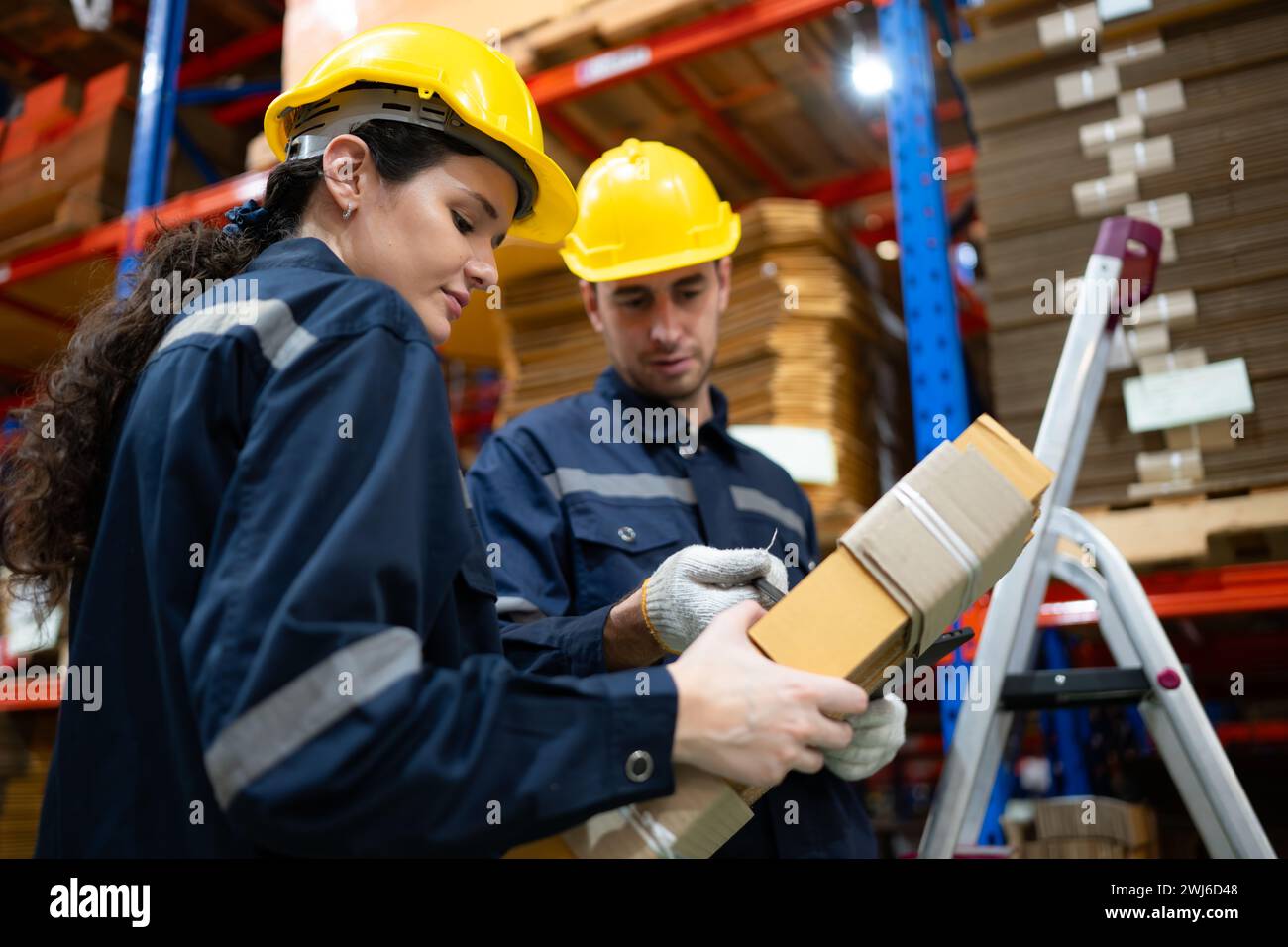 A young female warehouse worker checks and counting cardboard boxes in ...