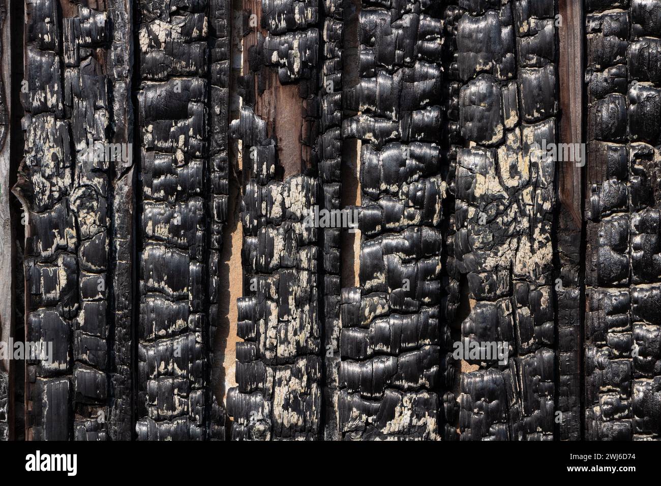 Burnt wooden fence. Texture of the charred wooden boards Stock Photo ...