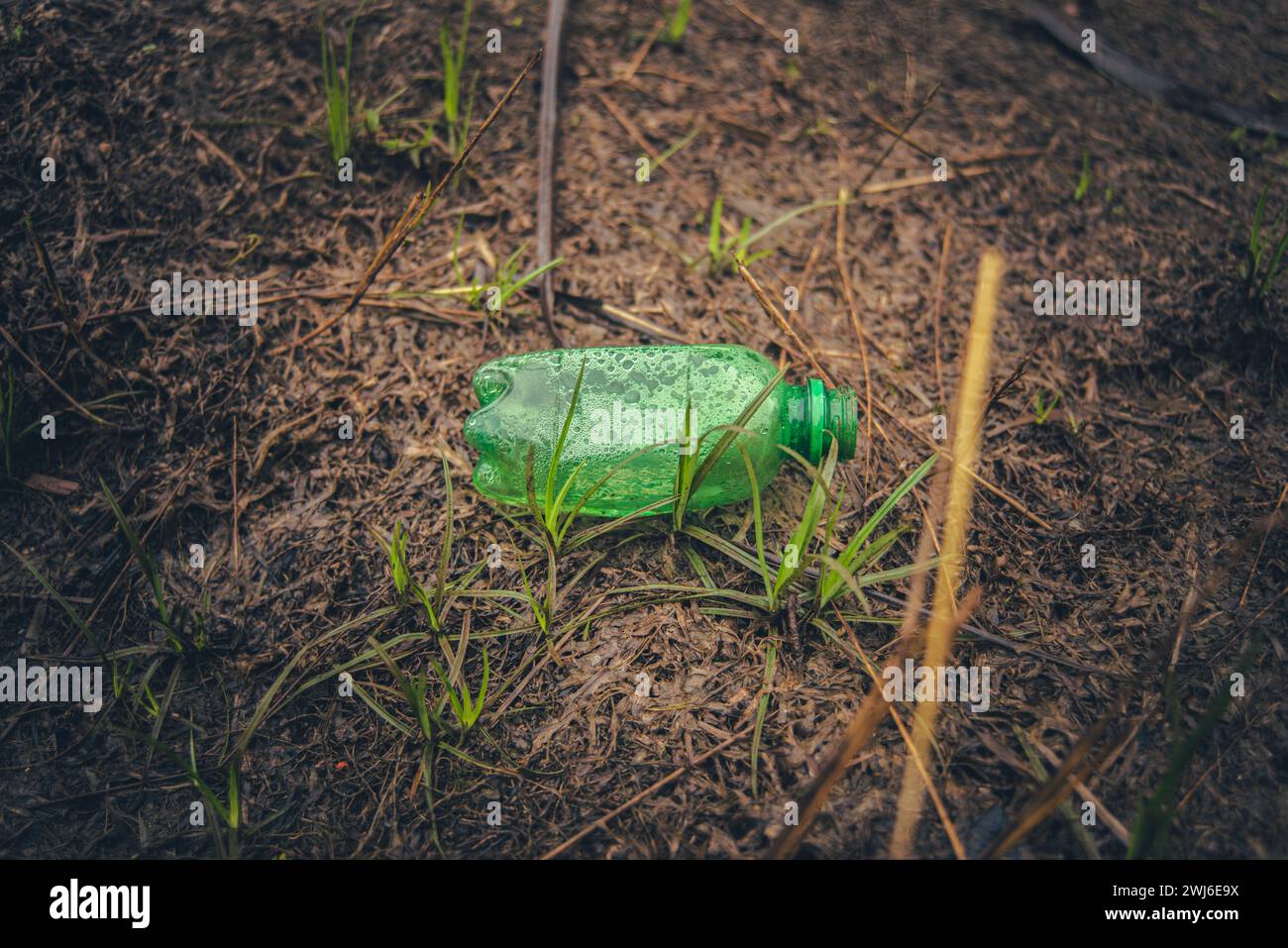 Plastic bottle waste hi-res stock photography and images - Alamy