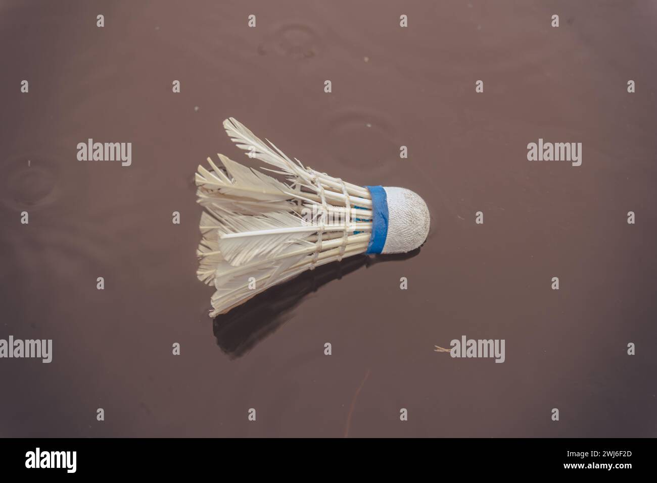 Broken racket ball floats in water Stock Photo - Alamy